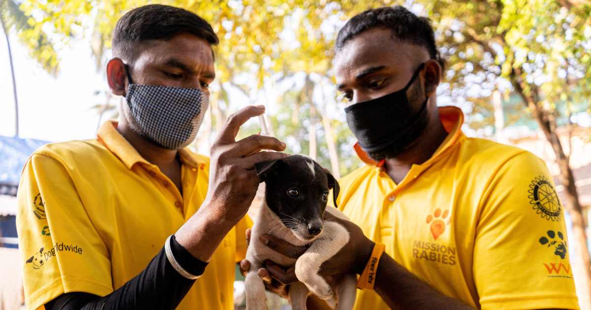 Mission Rabies | News